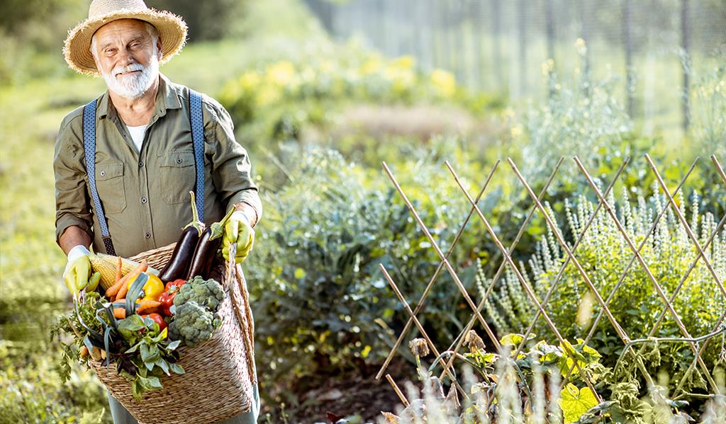 The importance of food localism | Europrodotti